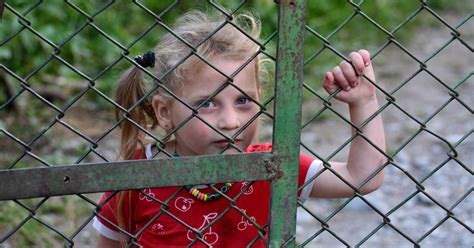 მთის ამბები