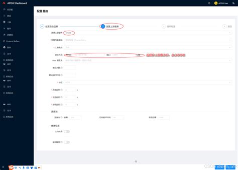 apisix dashboard上的配置操作 csdn博客