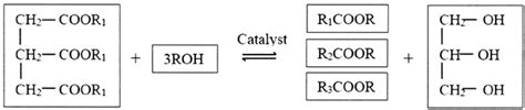 Transesterification Process For Biodiesel Production From Vegetable Oil Download Scientific