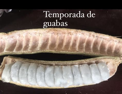 Guaba Fruta