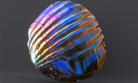 Colorfull Seashell Pack 3d Model Turbosquid 2177554