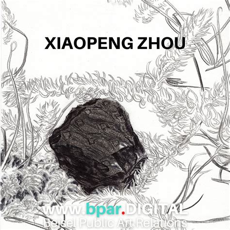Xiaopeng Zhou „swamping“ Bpar Digital