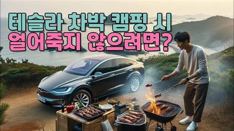 테슬라 차박 캠핑 중 얼어죽지 않으려면 전기장판 이용시 유의점 전차남 전기차 알려주는 남자 Youtube