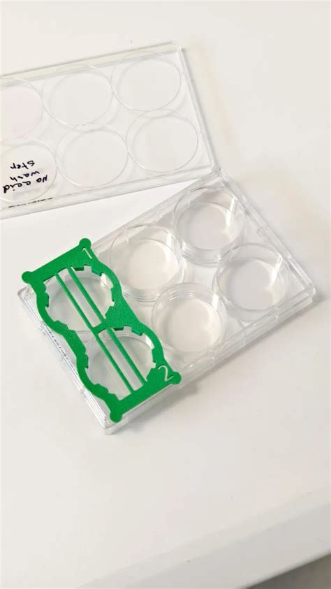 Scratch Assay Guide For 6 Well Plate By Fanfan Makerworld