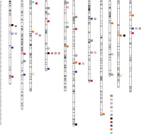 Quantitative Trait Loci Qtl Associated With Operculum And Capsule Download Scientific Diagram