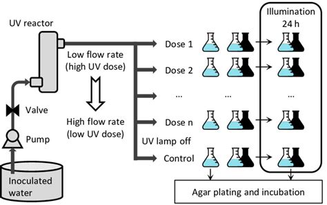 Scheme Of The Laboratory Plant And Experimental Procedure Download Scientific Diagram