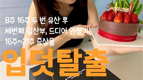 임신브이로그 드디어 안정기입덧탈출16주21주 초음파·임신증상·김밥만들기·석촌호수 벚꽃·테이스팅and치즈룸·시금치 플랫 브레드 만들기·투썸 스쵸생 Youtube