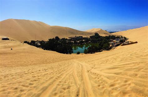 Оазис в пустыне 147 фото