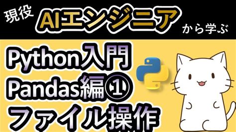 Python入門編変数と代入 Part3 Pythonちゃん