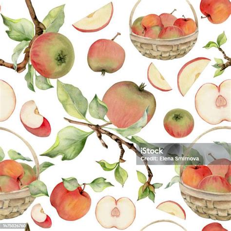 손으로 그린 수채화 사과 과일 바구니에 익은 전체와 빨간색과 녹색 슬라이스 원활한 패턴입니다 흰색 배경에 격리된 개체입니다 벽 예술 결혼식 인쇄 직물 표지 카드를위한 디자인
