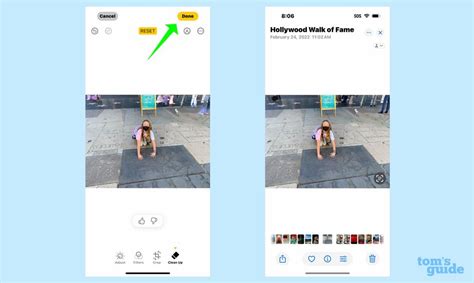 How To Use Clean Up In IOS 18 With Apple Intelligence Tom S Guide