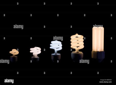 Compact Fluorescent Light Bulbs Stock Photo Alamy