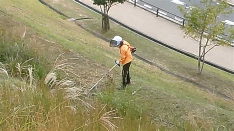 1017全面刈り④ 特定非営利活動法人とどろみの森クラブ