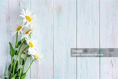Рамка Для Текста С Ромашками Ромашки На Светлом Деревянном Фоне Дизайн Основы Для