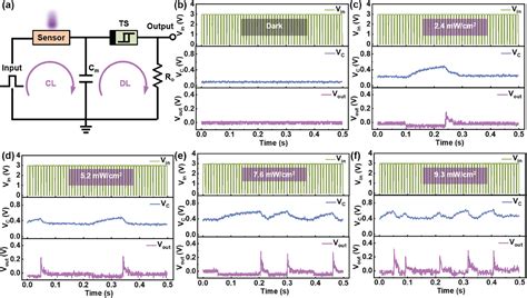 A Transient Photoelectric Spiking Neuron Based On A Highly Robust Mgo