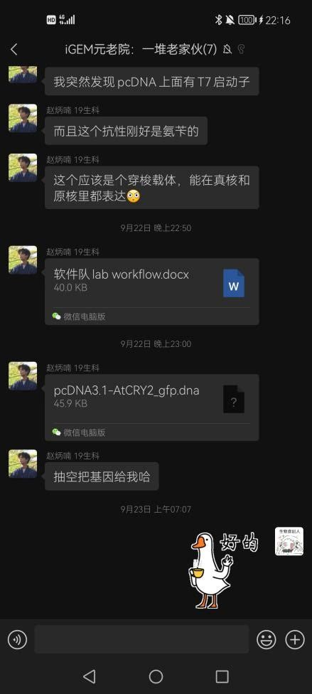 Team SYSU Software Collaborations 2021 Igem Org