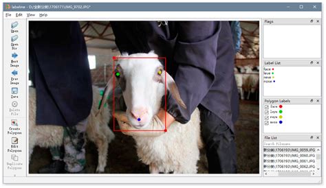 Sheepfacenet A Speedaccuracy Balanced Model For Sheep Face Recognition