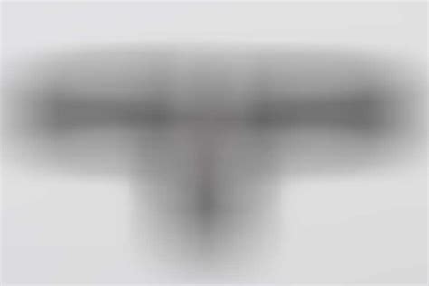 Ratisbons Waffen Ss Officers Sleeve Eagle 1st Pattern Of The Rzm