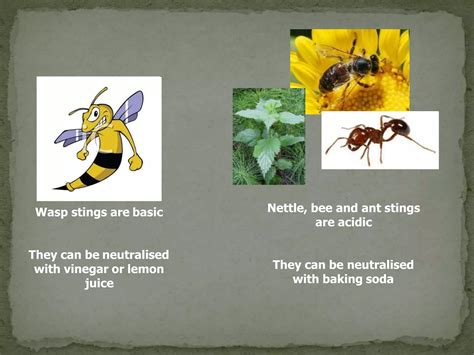 Acid And Base Theories PPTX