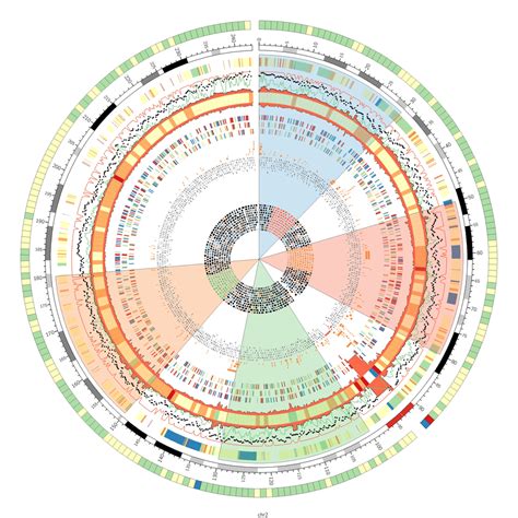 Tutorial Images Circos Circular Genome Data Visualization