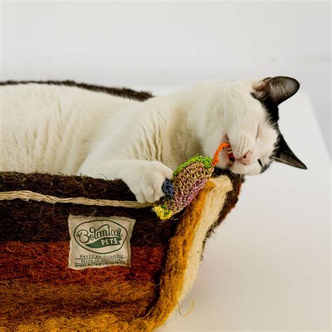 Gatos Botanical Pets