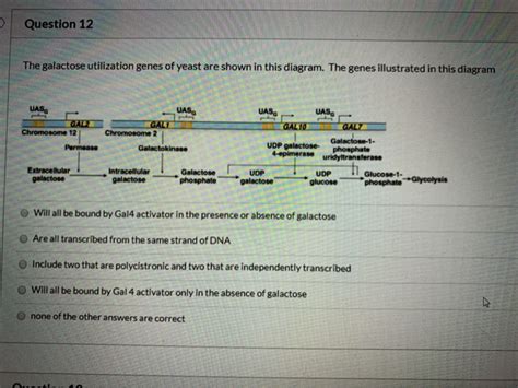 Solved Question 12 The Galactose Utilization Genes Of Yeast