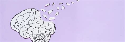 Forgetting Is More Important Than Remembering Scott A Small Iai Tv