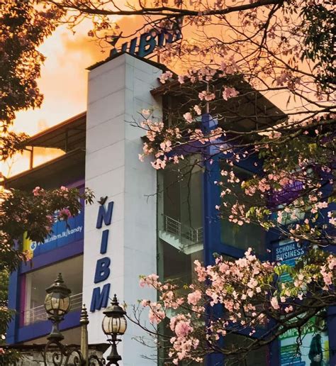 Nibm The City University