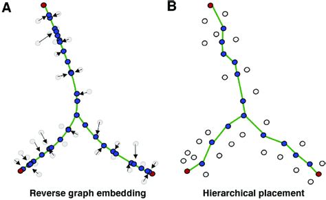 New Approaches For Trajectory Analysis From Single Cell Data A