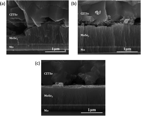 Sem Cross Section Of Cztse Solar Cells Prepared On The Mo Substrates
