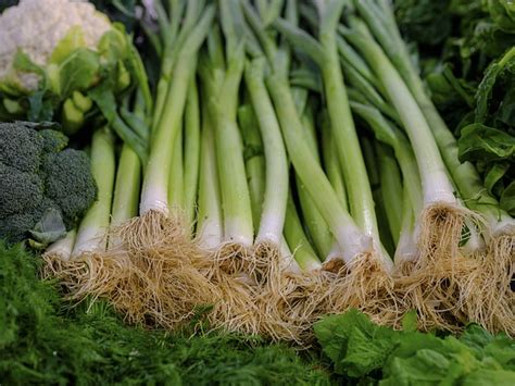Leek Vegetable Green Free Photo On Pixabay