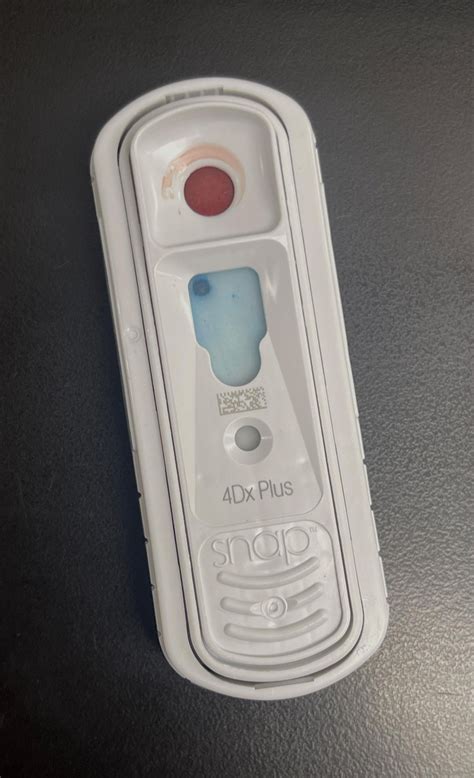 Mckinney ⭐️ Did You Know That Our Heartworm Tests Also Screen For