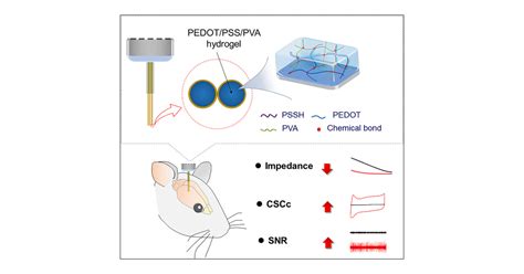 Conducting Polymer Hydrogel Interpenetrating Networks For Improving The Electrodeneural