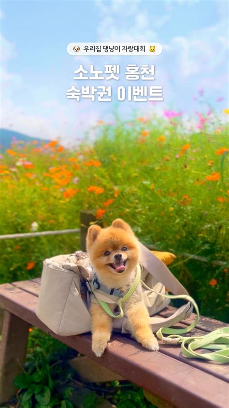 스테이앤모어 숙박권이벤트 🏝 아직 참여 안 하셨다면 지금이 기회 실제 자연 동굴에서 선셋 디너 And 칵테일을 즐길 수 있는 전 세계적인 인스타 핫플🔥 끄라비리조트