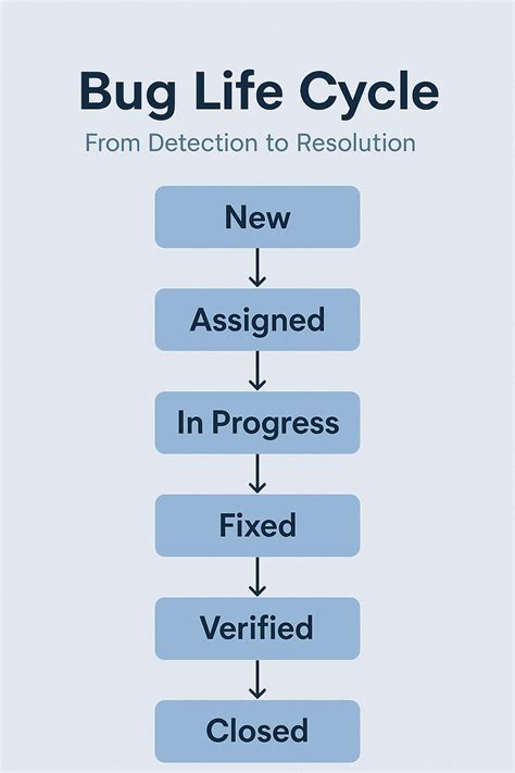 Buglifecycle Softwaretesting Qualityassurance Manualtesting Niaz