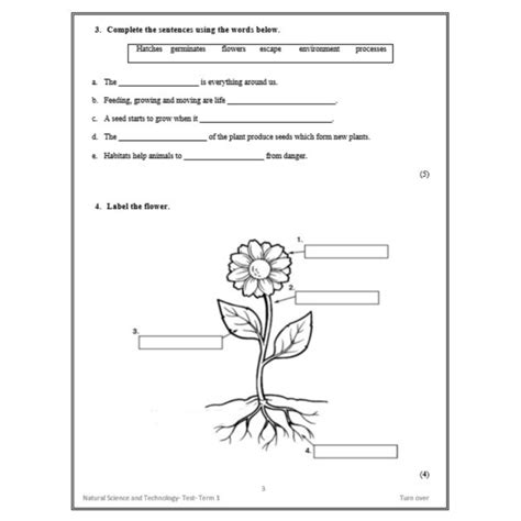 Natural Science And Technology Grade 4 Term 1 Examination With Memo