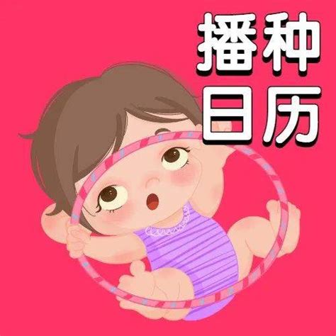 长期使用避孕套会导致不孕吗 交流 姐妹 知识