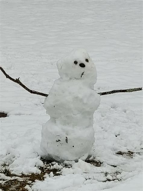 Lily Snuggle Bug Added A New Photo Lily Snuggle Bug