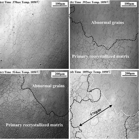 Microstructure Evolution Of Weak Inhibition Specimens During Secondary Download Scientific