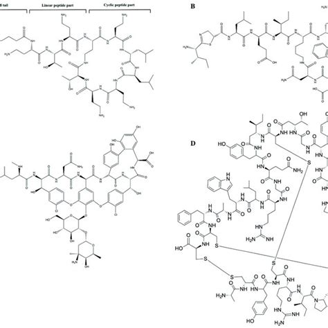 Chemical Structure Of Cyclic Antimicrobial Peptides A Structure Of
