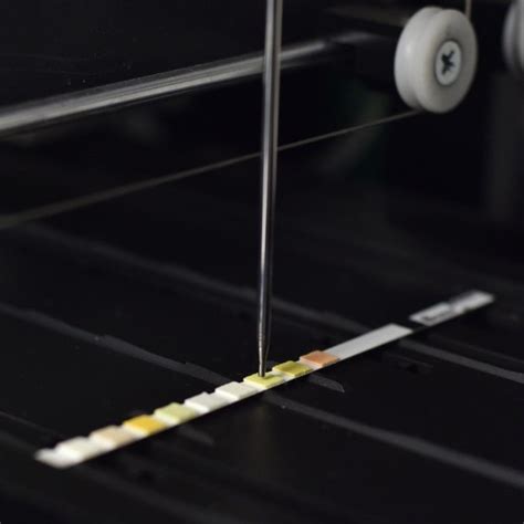 Reagent Test Strip 10111214 Parameters Glucose Ketone Body