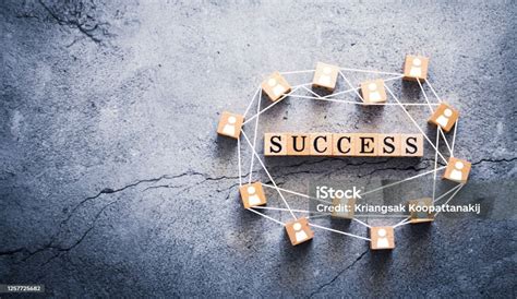 성공의 나무 큐브 단어와 복사 공간 과 사람들 아이콘 팀 브레인스토밍 의 개념 팀워크의 통일성 파트너십 협력 및 협력 비즈니스 목표 달성의 동기 부여 아이디어 0명에 대한