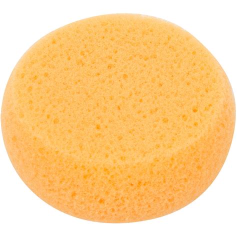 Kemper Spr Potter Sponge — Frends Beauty