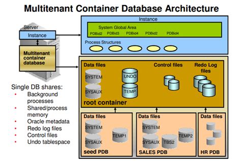Kiến Trúc Multitenant Trong Oracle Database Là Gì Đào Tạo Oracle