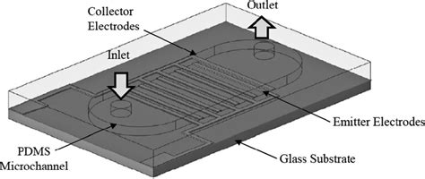 Schematic Of Typical Ehd Micropump Showing Electrode Geometry