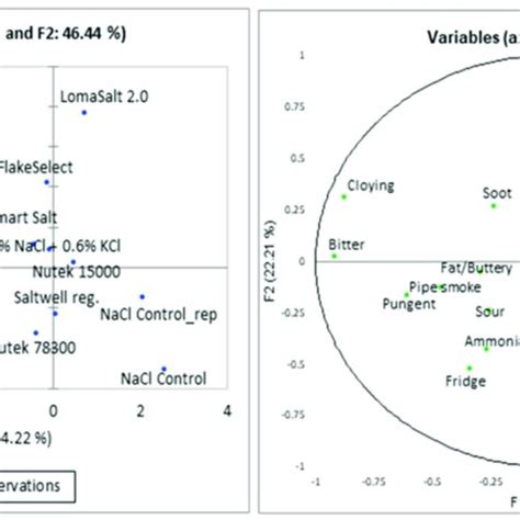 Sensory Analysis By Projective Mapping Observation Plot And Variables