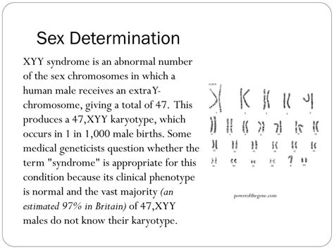 PPT Blueprint Of Life Topic 12 Sex Linked Genes PowerPoint Presentation ID 1930712