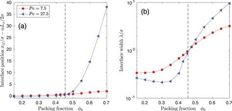 A Interface Position X If And B The Interface Width λ As Function