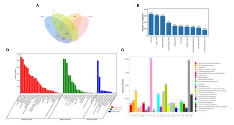 Characterization Of Functional Annotation A Overlapping Of The