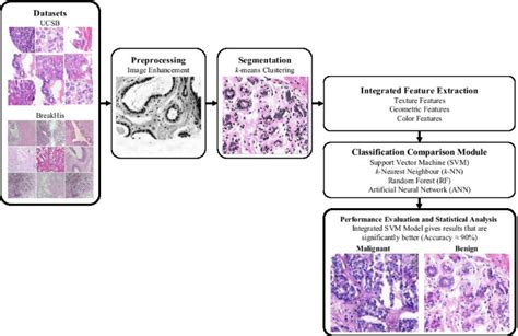 基于集成特征的 Hande 染色组织病理学图像对乳腺癌分类的 Svm 方法medical And Biological Engineering
